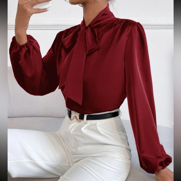 Tops | Luxe Tie Neck Satin Work Blouse | Poshmark